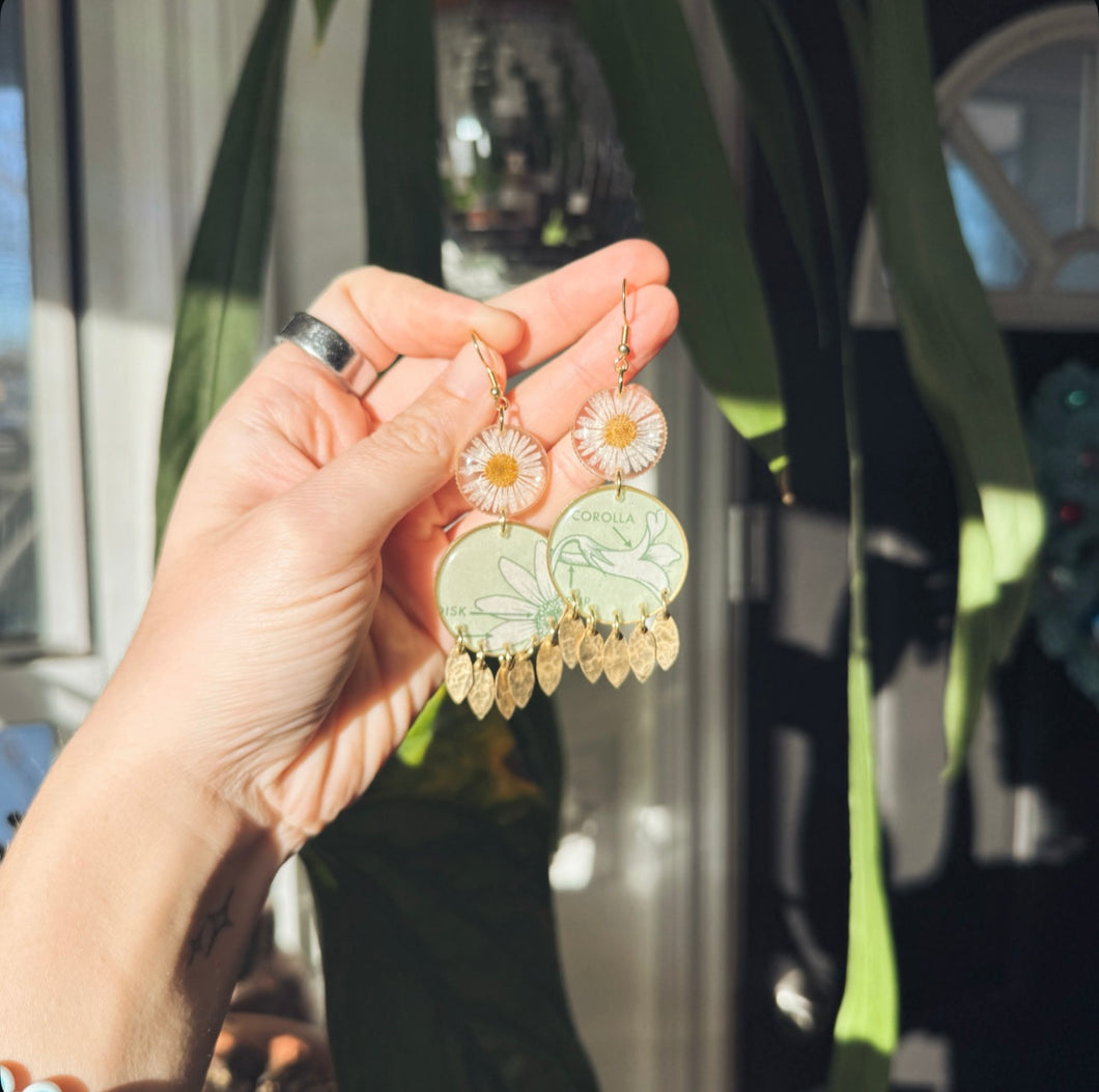 FLORA MAP – Shop The Butterfly Effect